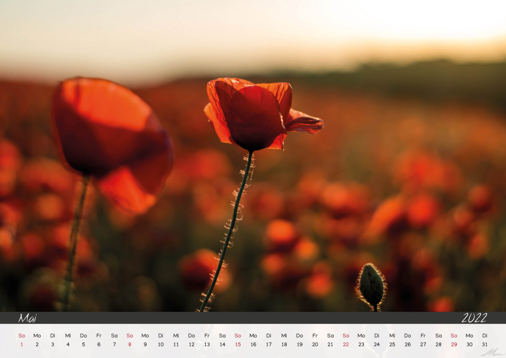 Kalender 20227 - NIMArtworks.de